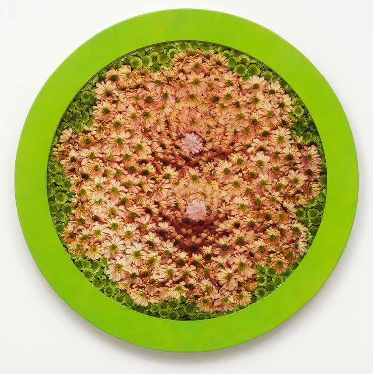 Review of Helen Chadwick: Life Pleasures at the Hepworth Wakefield ...